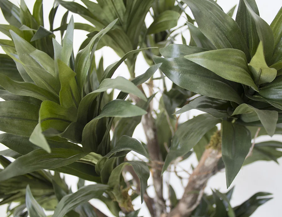 Artificial dracaena fragrans tree - Décors Véronneau