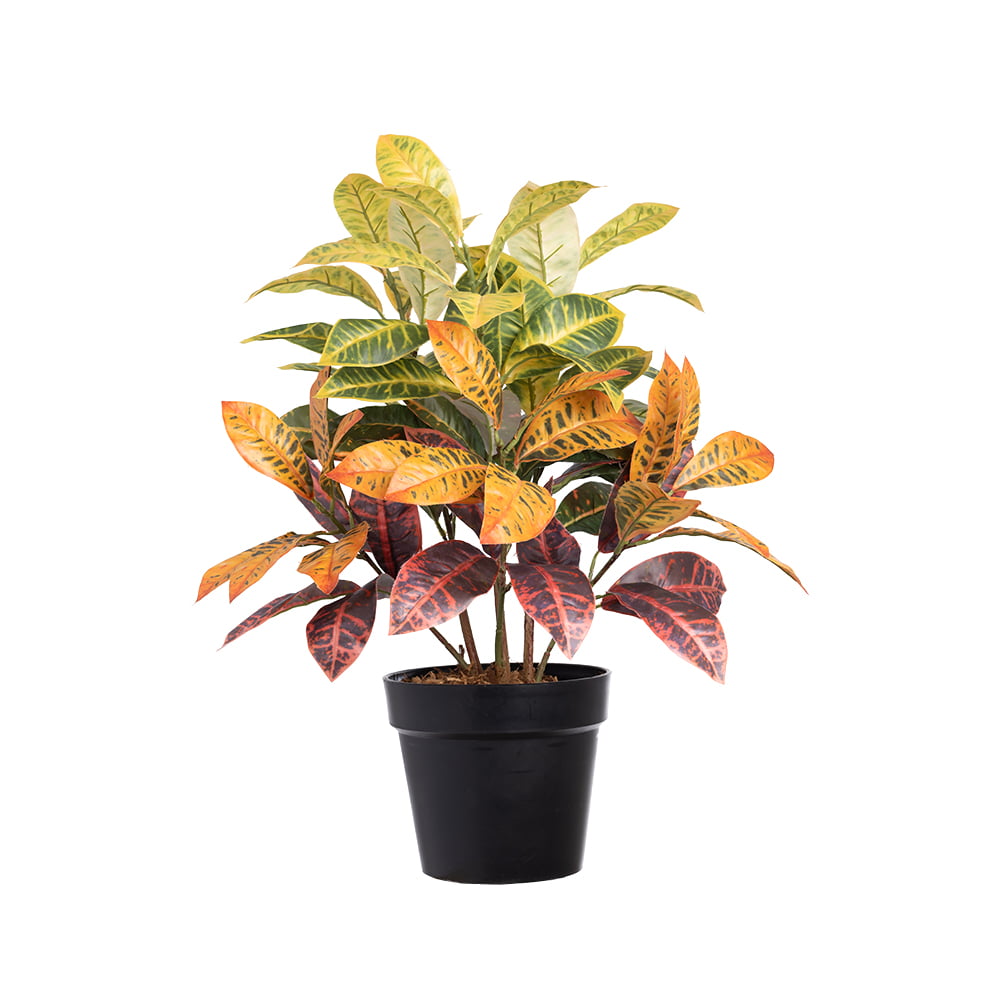 Plant de croton artificiel en pot, 24 x 15'' - Décors Véronneau