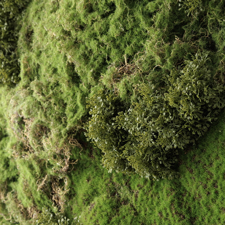 Artificial textured moss plant wall - Décors Véronneau