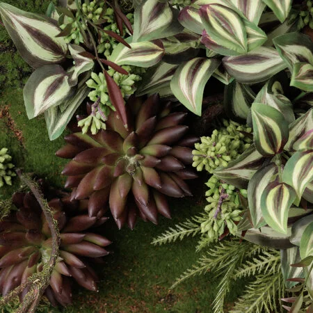 Artificial green cascade plant wall - Décors Véronneau