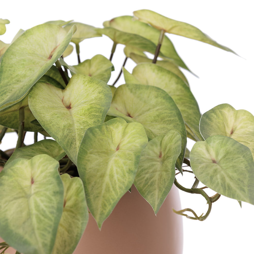 Artificial light green potted syngonium - Décors Véronneau