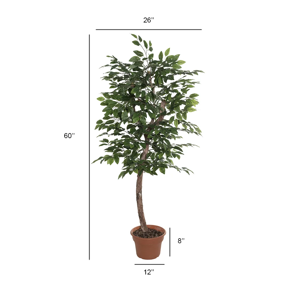 5' Artificial ruscus tree - Décors Véronneau