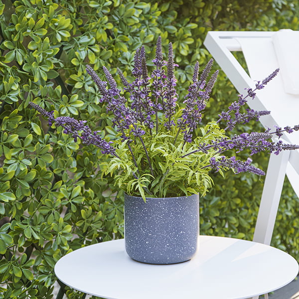 Outdoor terrazzo planter, 6 x 6'' - Décors Véronneau