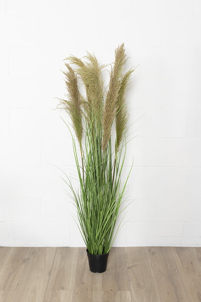Dried Reed Grass in a Pot, 57'' - Décors Véronneau